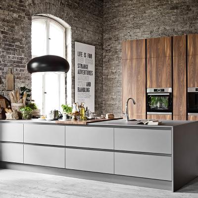 Κίνα Blum Hardware Προσαρμοσμένα Αδιάβροχα Ματ Κουζίνα για το σύγχρονο σχεδιασμό κουζίνας προς πώληση