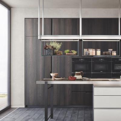 Κίνα Blum Hardware Προσαρμοσμένα Αδιάβροχα Ματ Κουζίνα για το σύγχρονο σχεδιασμό κουζίνας προς πώληση