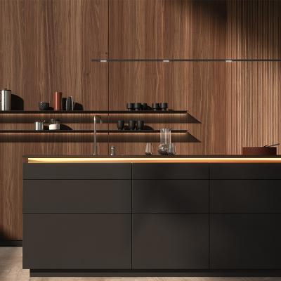 Κίνα Blum Hardware Προσαρμοσμένα Αδιάβροχα Ματ Κουζίνα για το σύγχρονο σχεδιασμό κουζίνας προς πώληση