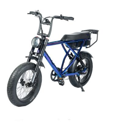 중국 강력한 500w 750w 1000w E 자전거 최대 속도 50km/h 48V 전압 스노우 비치 및 더 많은 판매용