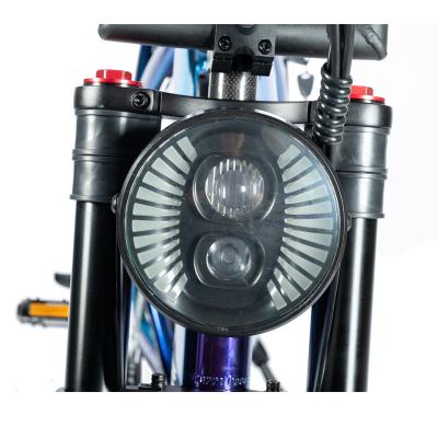 중국 강력한 500w 750w 1000w E 자전거 최대 속도 50km/h 48V 전압 스노우 비치 및 더 많은 판매용