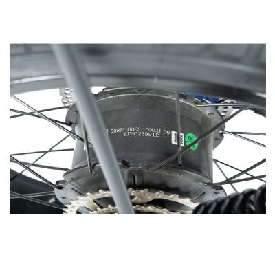 중국 강력한 500w 750w 1000w E 자전거 최대 속도 50km/h 48V 전압 스노우 비치 및 더 많은 판매용