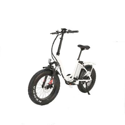 중국 20 인치 스노우 지방 타이어 48V 13Ah 배터리 OEM 사용자 정의 판매용