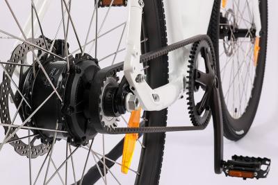 중국 표준 스타일 탄소 벨트 드라이브 EBike LCD 디스플레이 전기 자전거 9.6 AH 용량 판매용