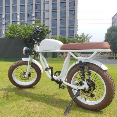 중국 표준 스타일 48v 750W 전기 오토바이 20인치 지방 타이어와 LCD 디스플레이 판매용