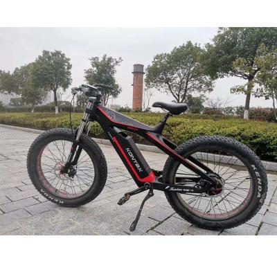 중국 LCD 디스플레이 탄소 섬유 산악 전기 자전거 ES750 26 인치 48V 750W 장거리 판매용