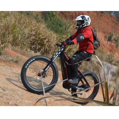 Κίνα 13Ah χωρητικότητα μπαταρίας Smart Sensor Ebike με 48V 750W/1000W κινητήρα και ελαφρύ πλαίσιο προς πώληση