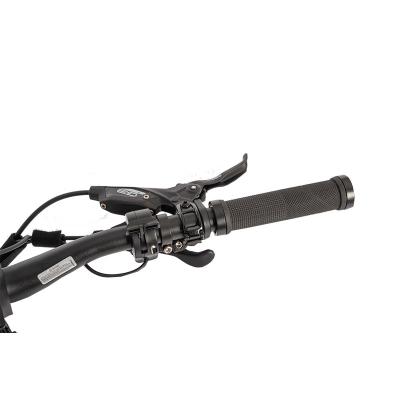 Chine Frein à disque et suspension arrière DNM 38RC Vélo électrique pour adultes à vendre