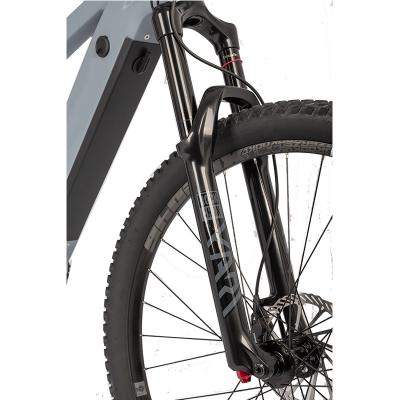 Chine Frein à disque et suspension arrière DNM 38RC Vélo électrique pour adultes à vendre