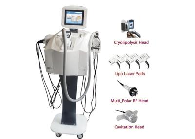 Китай Кожа затягивая лазер Lipo кавитации машины Cryolipolysis для женщин продается