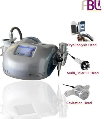 Китай Тело уменьшая машину Cryolipolysis скульптора удаления целлюлита холодную с замкнуло вулканизационный барабан Lipocyte продается