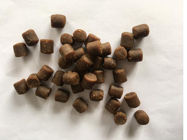 Dog Food Soft Treats Cold Extruding Line