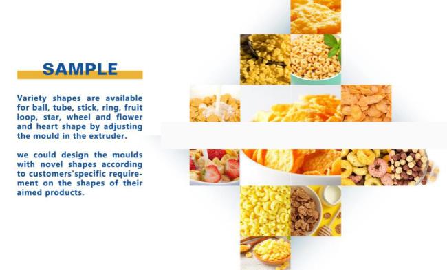 Corn Flakes Processing Line