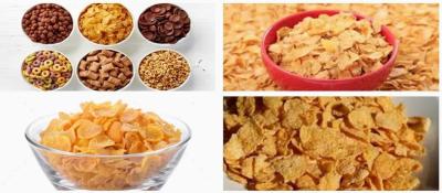 China Continuous , automatic Corn Flakes Processing Line , bulking machine for sale