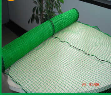 Sample of mosquito net