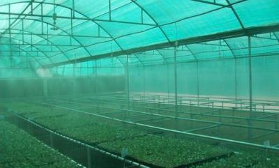 China Máquina para hacer red de sombra solar con doble aguja DRCA Tipo de material virgen HDPE Sunshine en venta