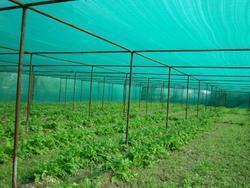 China Máquina de alta productividad de HDPE para proveedores de redes de sombra verde con diferentes características y engranajes abiertos en venta