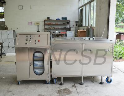 Cina Pulitore ultrasonico del metallo del dado della muffa dello sgrassatore di due del carro armato di industria di ultrasuono del bagno del carburatore parti del blocco motore in vendita