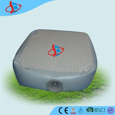 Cina Pista gonfiabile di caduta di ginnastica per pista di aria adulta/grigia che ruzzola in vendita