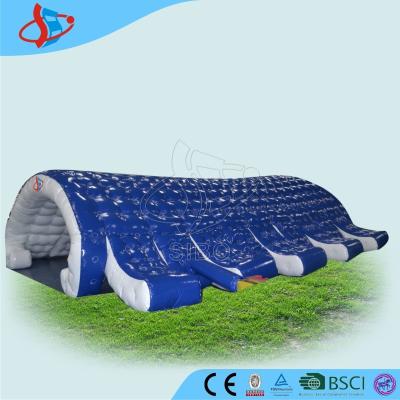 Cina Blu del polipo il bene durevole gonfiabile della tenda di evento della caverna per gli adulti in vendita