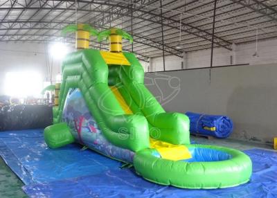 Cina Acquascivolo gonfiabile dell'alligatore di moonwalk con verde del PVC di 0.55mm in vendita