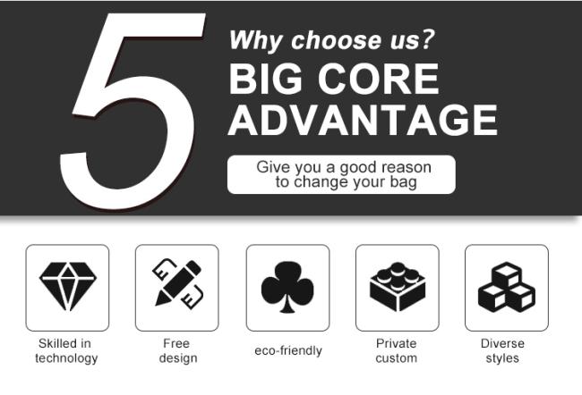 Tpu amichevole del laser di Eco con corda che imballa la borsa di cordone di plastica di tpu olografico