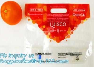 중국 PE 슬라이더 포도는 과일, 최고 버찌 포장이 서 있는 접는 주머니를, PE 부대 mi에 압박 지퍼 손잡이를 위한 구멍으로 자루에 넣습니다 판매용