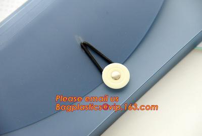 中国 PPのファイル ホルダー、プラスチックPPの虹拡大ファイル オルガナイザーのホールダー、机のエキスパンダーのファイル ホルダー 販売のため