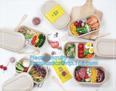 중국 그릇, 사탕수수를 나릅니다 뚜껑, Compostable 사탕수수 사탕수수 찌지 조가비 음식 콘테이너 pac를 가진 간이 식품 콘테이너를 펄프화하십시오 판매용