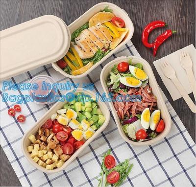 중국 그릇, 사탕수수를 나릅니다 뚜껑, Compostable 사탕수수 사탕수수 찌지 조가비 음식 콘테이너 pac를 가진 간이 식품 콘테이너를 펄프화하십시오 판매용