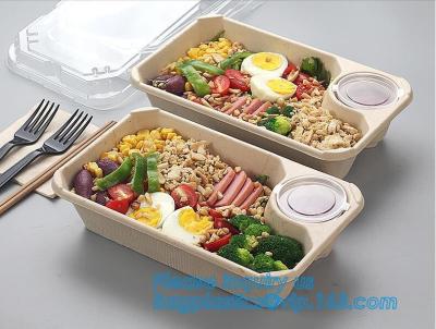 중국 그릇, 사탕수수를 나릅니다 뚜껑, Compostable 사탕수수 사탕수수 찌지 조가비 음식 콘테이너 pac를 가진 간이 식품 콘테이너를 펄프화하십시오 판매용