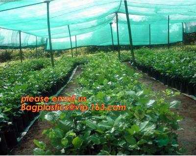 中国 100%のりんごの木のための新しいHDPEの昆虫の網/反鳥の網、温室の植物のための反昆虫の網、農業純反ins 販売のため