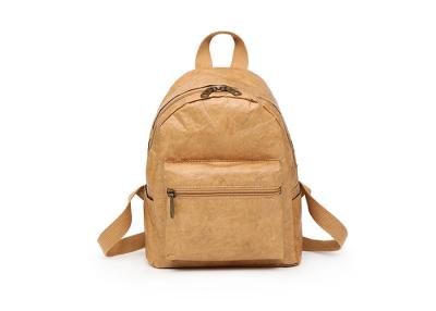 China Tyvek Backpack Bags,Grocery Handbag school bags with front zipper pockets for sale
