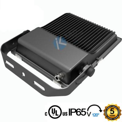 Cina il proiettore SMD3030 impermeabile LED di 10000Luminous 100W 100LM/W SMD scheggia in vendita