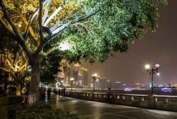 Cina Luce di inondazione Driverless del driver a bordo LED IP65 all'aperto con la durata della vita lunga in vendita