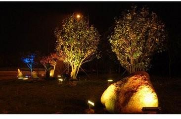Cina L'altezza stabile fuori ha messo la luce EPISTAR LED di sicurezza di 20W LED con 3 anni di garanzia in vendita