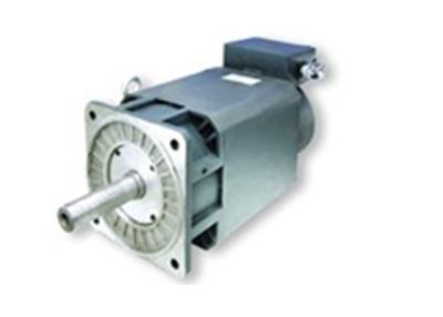 China Motores servos e impulsiones, motor servo de alta velocidad del pequeño rotor IP54 del eje de la CA en venta