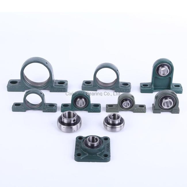 Cixi Bearing OEM Industry Pillow Block Bearing for Packaging Machinery