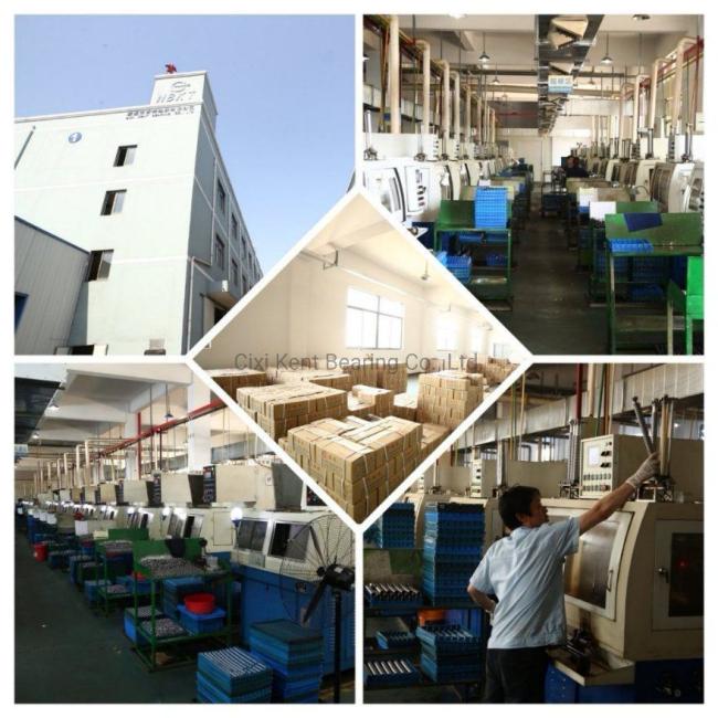 Cixi Bearing OEM Industry Pillow Block Bearing for Packaging Machinery