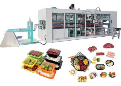 Cina Multi stazione di Thermoforming della bolla di processo automatico della macchina in vendita