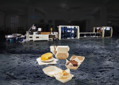 China Volle automatische Burger-Kasten-Maschinen-Ausrüstungs-Fertigungsstraße zu verkaufen