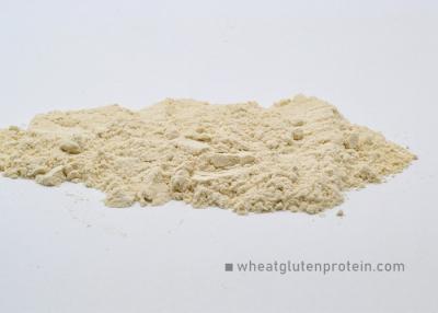 Cina Rinforzatori vitali secchi di nutrizione della polvere della proteina del glutine di grano per industria alimentare in vendita