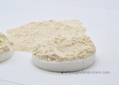 Cina Odore naturale del grano di grano della proteina del foraggio della polvere vitale additiva del glutine in vendita