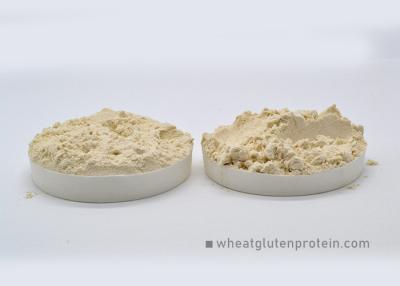 Cina Gli hamburger interpongono la polvere HALAL organica della proteina del glutine in vendita