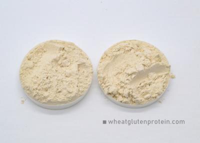 China Pó da proteína do glúten de trigo dos espaguetes Nx5.7 dos macarronetes imediatos à venda