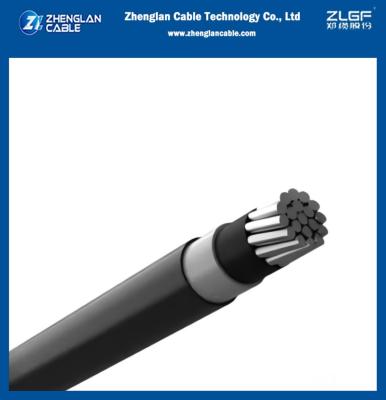 중국 CCST 99 AAAC 20(24)kV 중전압 가공 절연 전선 LDPE 절연 HDPE 외피 12/20kv EN50397-1 2020 판매용