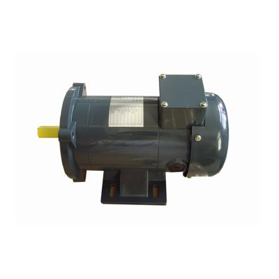 Cina TEFC / TENV 56 Frame Motor NEMA 1 Hp 12v Dc Motor in vendita