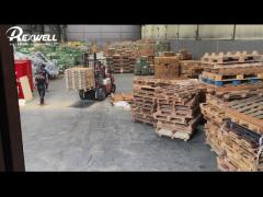 11065-2W20A Σφραγίδα θερμαντήρα ανάφλεξης για Nissan Urvan E25 Diesel από Rexwell