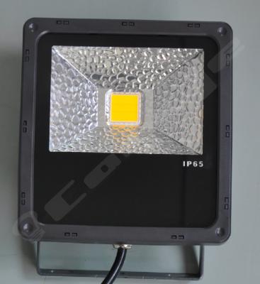 Cina 30 garanzia principale all'aperto 2700Lm - 3000Lm della prova 3Years di Warter della luce di inondazione del IP 65 di W in vendita