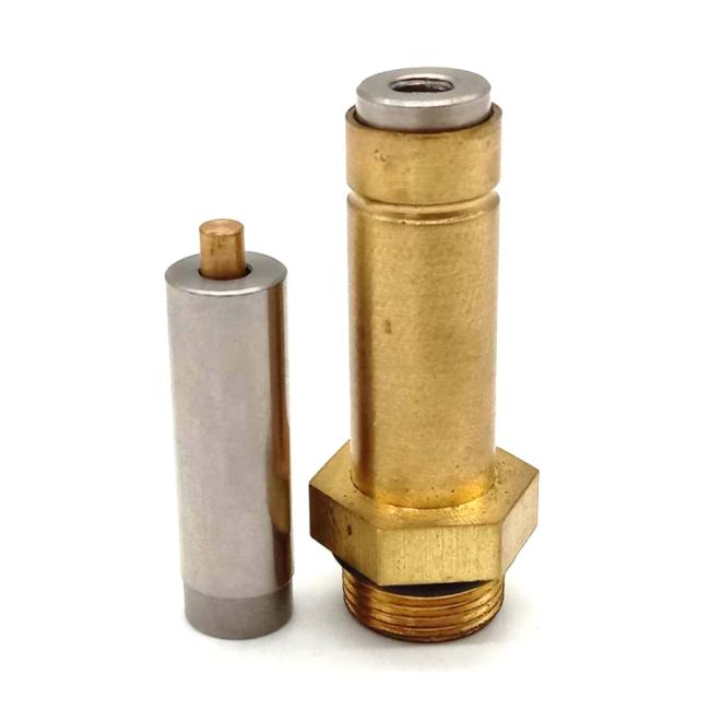 Car LPG CNG Reducer Regulator Solenoid Armature Plunger Repair Kit 2